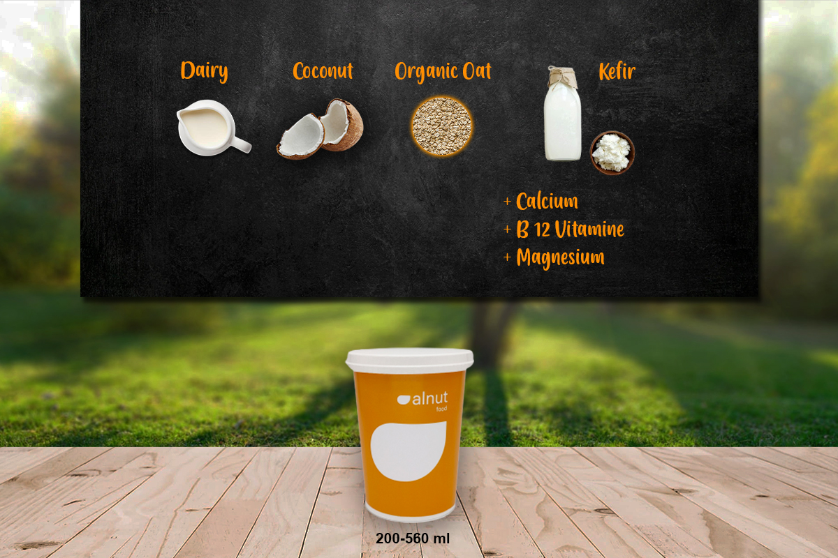 Plant-based fortified fermented probiotic products - Alnut ...